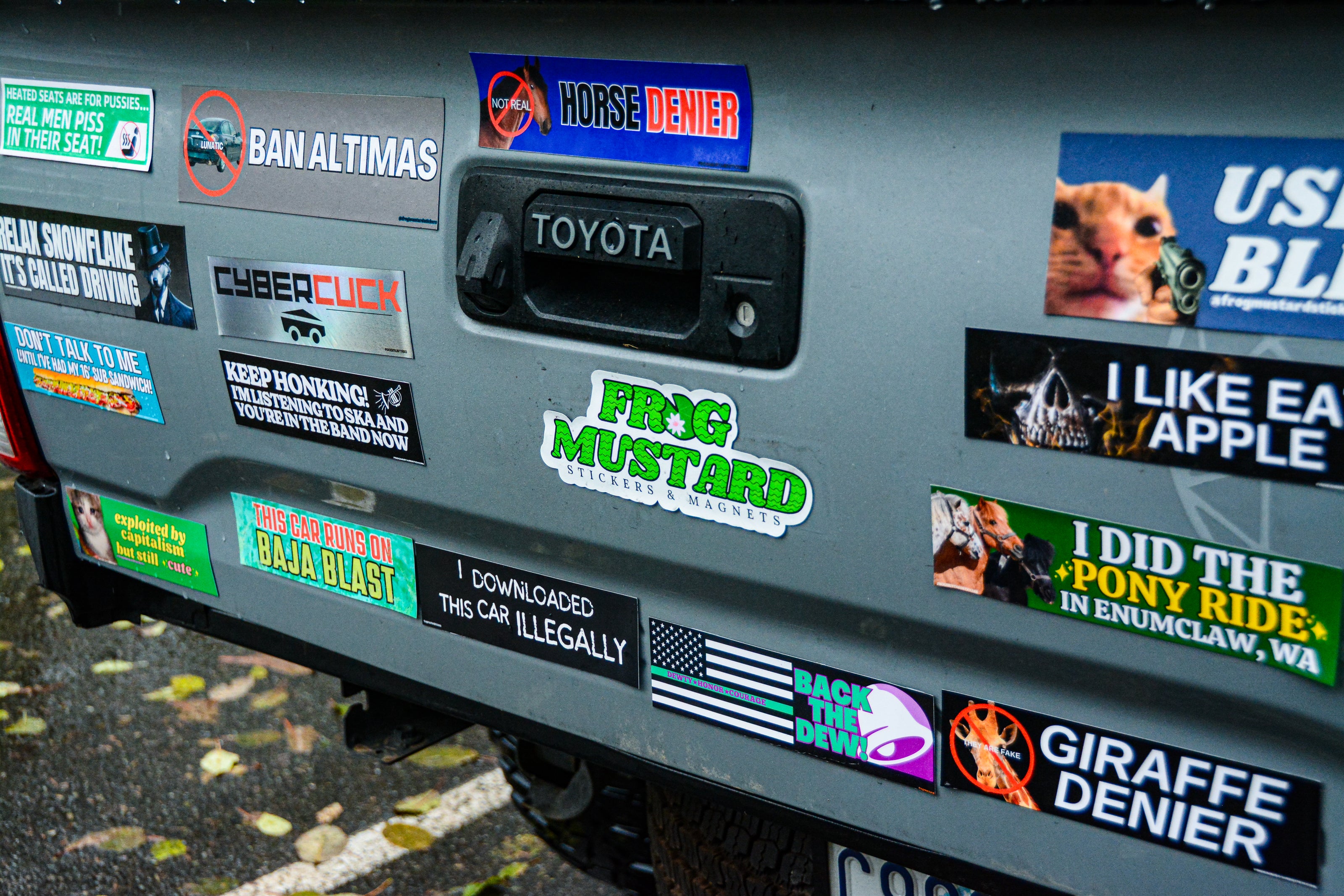 Frog Mustard Stickers | Unhinged Vinyl Bumper Stickers & Magnets