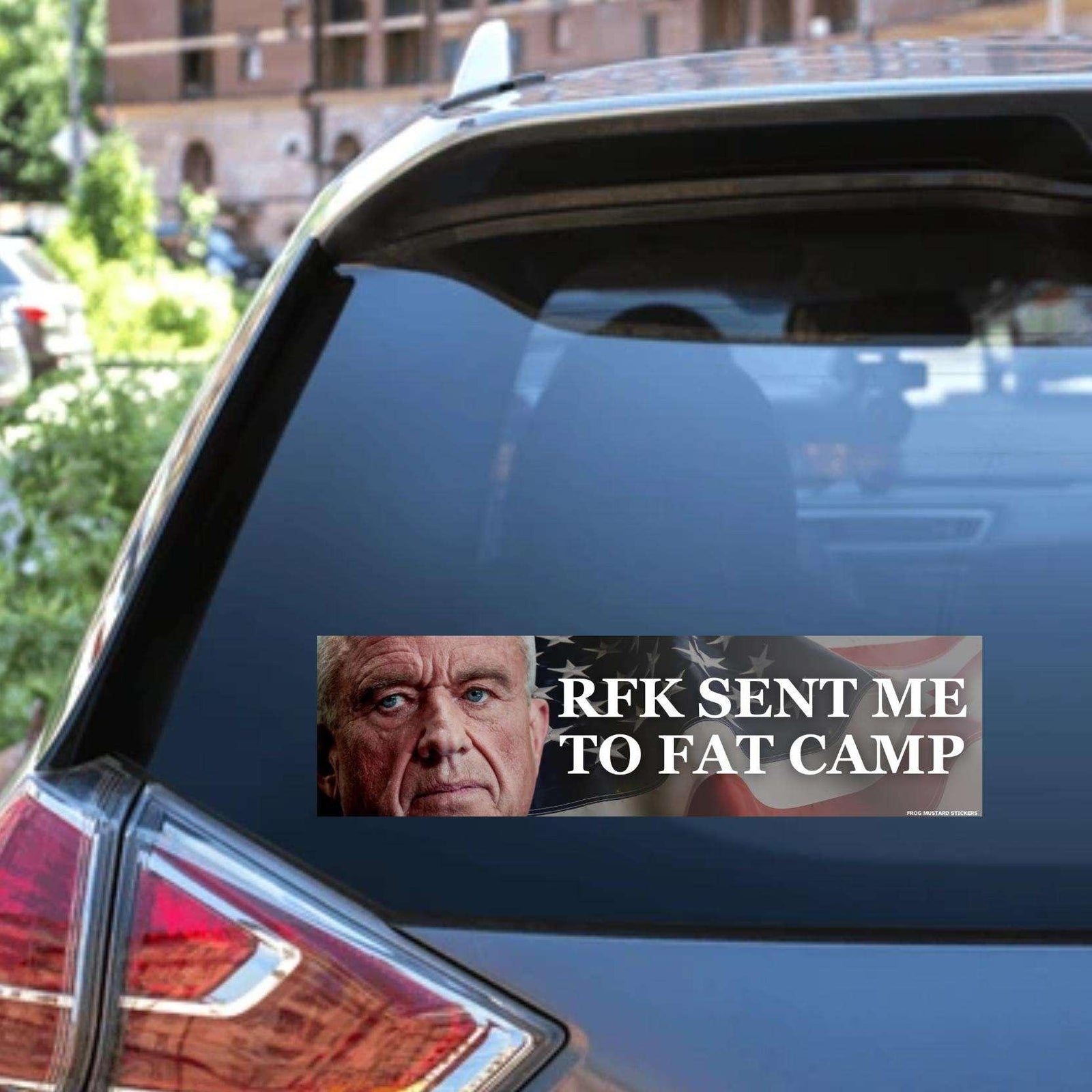 Funny Stickers | Hilarious & Unhinged Vinyl Decals for Any Surface ...