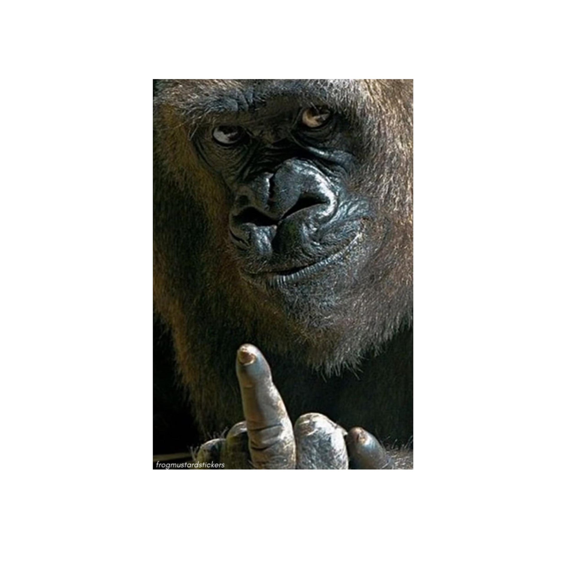 Gorilla Flipping You Off Sticker – Funny Ape Animal Sticker – Frog ...
